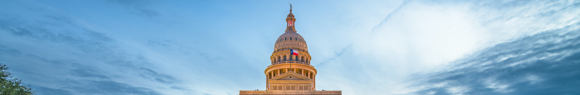 TAHP's End of Session Guide - Texas Association of Health Plans