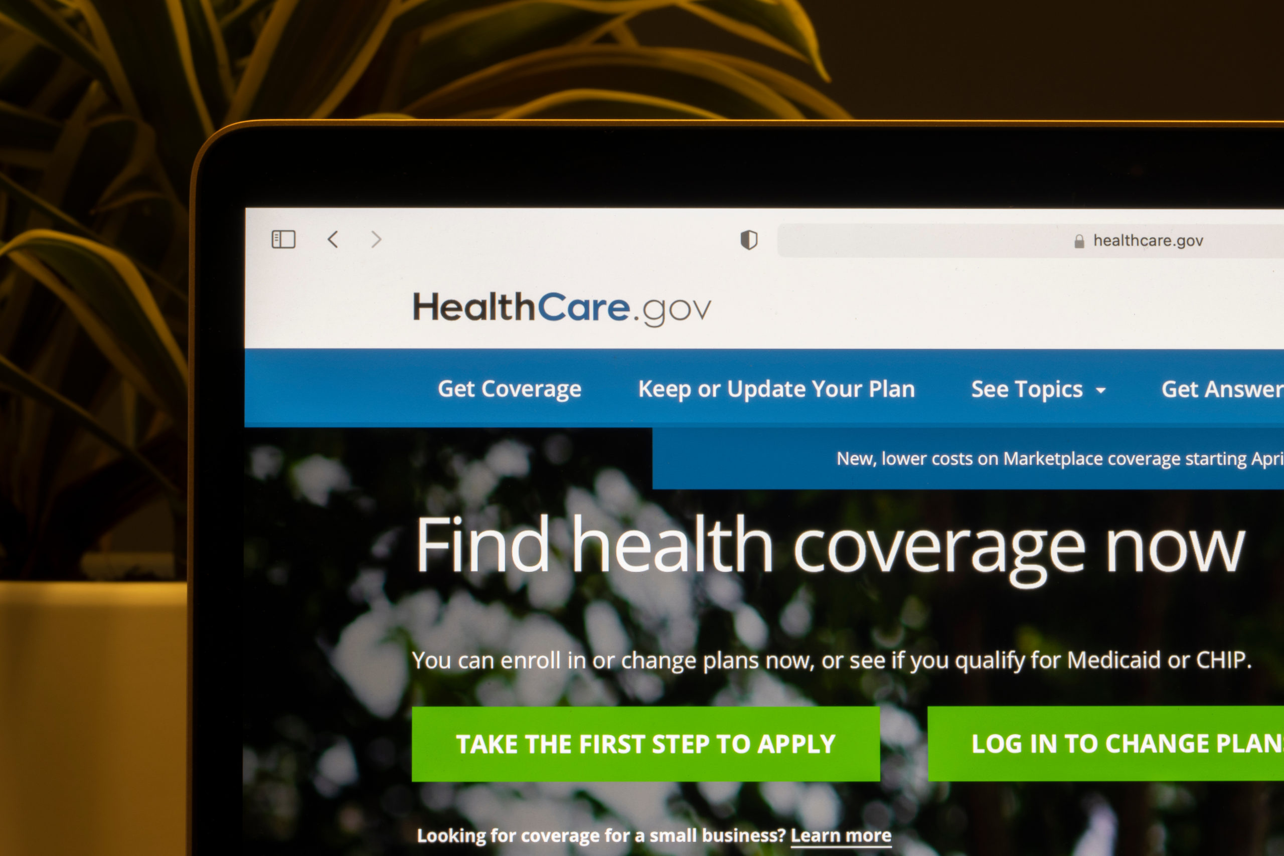 Texas' Individual Insurance Market is More Competitive Than Ever ...